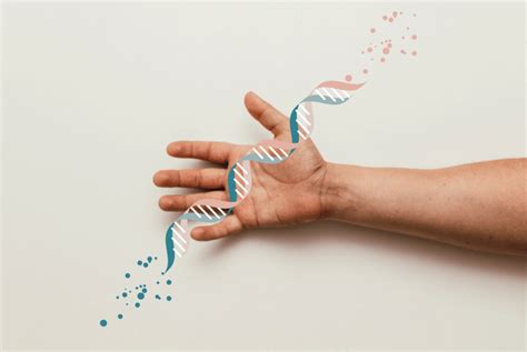 Mthfr Gene Mutation What You Need To Know Prana Thrive