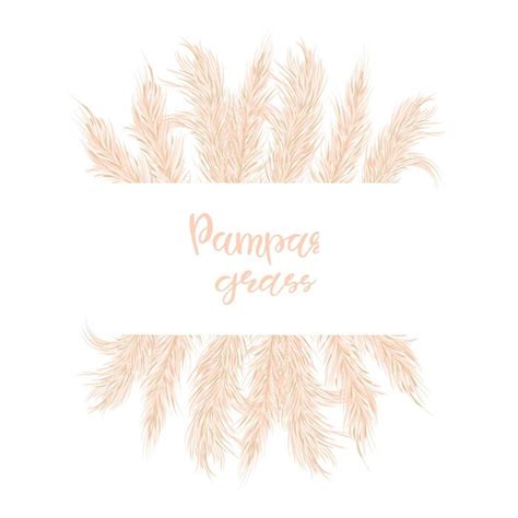 Pampas Vector Art Icons And Graphics For Free Download