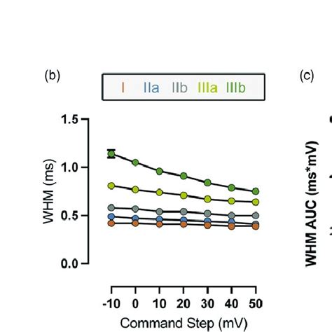 Voltage Activated Transient Inward Current In Five Types Of