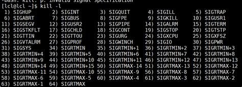 Linux学习笔记之七（进程管理下和重定向上） Csdn博客