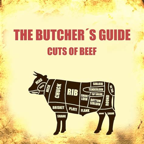 Premium Photo A Poster For The Butchers Guide Cuts Of Beef