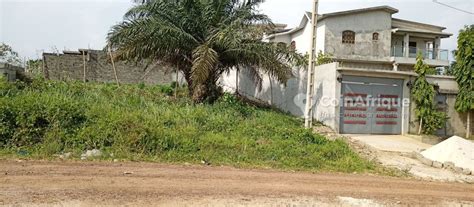 Terrains Vente Terrain 600 m² Bingerville Feh Kessé en Côte d Ivoire