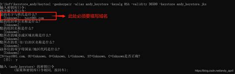 java web应用方式部署访问时，自签名证书的生成步骤（域名版本） web项目的jssecacerts证书生成与部署 csdn博客