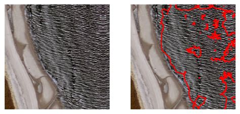 Add Transfer Learning Transformer Based Model Architecture Issue Doodleverse
