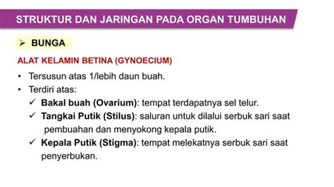 Salinan Strukrur Dan Fungsi Jaringan Pptx