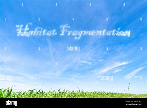 Habitat Fragmentation Division Of Continuous Habitats Into Smaller