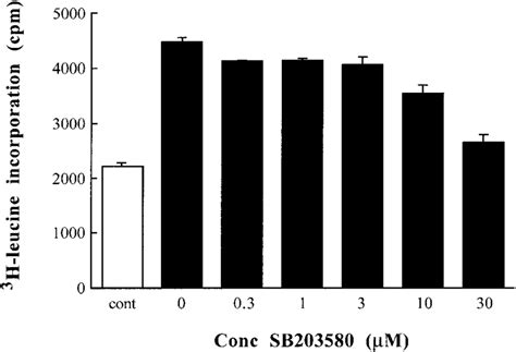 Effect Of Sb 203580 On Ang Ii Stimulated Protein Synthesis In Aortic