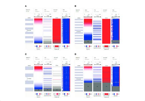 Mutation Copy Number Variation And Methylation Analysis Of Cdca8
