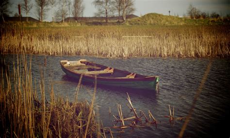 Free Images Nature Swamp Wood Boat Canoe Green Paddle Vehicle