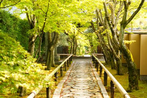光悦寺 コトログ京都