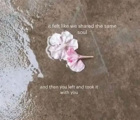 Pin By Taybrouillet On Sotce I Still Love You Pretty Words