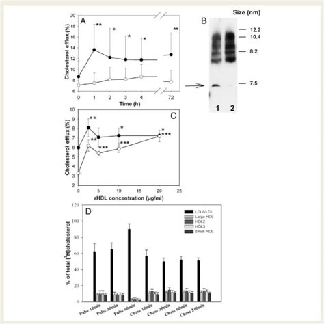 Dynamics Of Remodelling Of Hdl Subfractions After Infusion Of