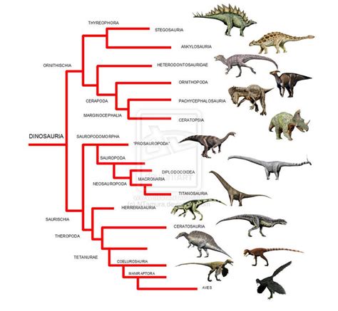 Dinosaur Phylogeny By Ntamura On Deviantart Prehistoric Prehistoric