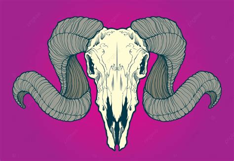 Ram Horn Vector Png Images Skull Of Ram With Curved Horns Dead Wild
