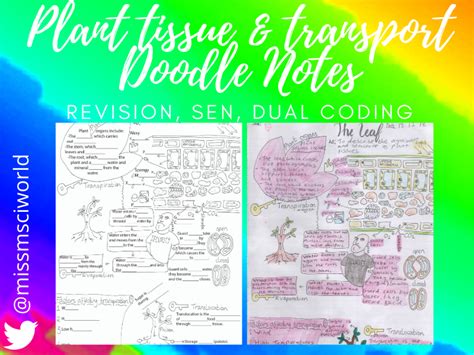 Plants Science Doodle Notes Teaching Resources