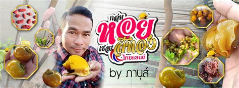 กลุ่มหอยเชอรี่สีทองไทยแลนด์