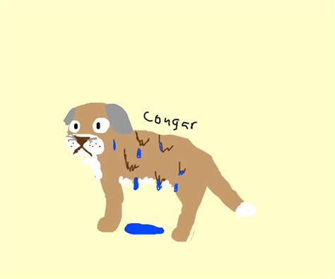 Wet Cougar Drawception