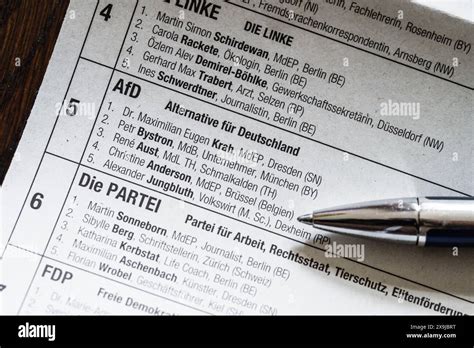 Afd Kandidaten Maximilian Krah Und Petr Bystron Stimmzettel