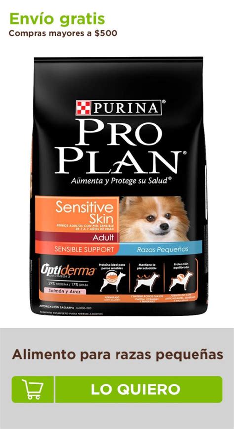 ¿cuáles Son Las Mejores Marcas De Alimento Para Perros
