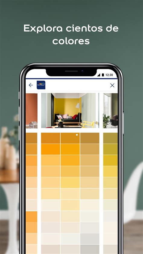 Bruguer Visualizer For Android Download