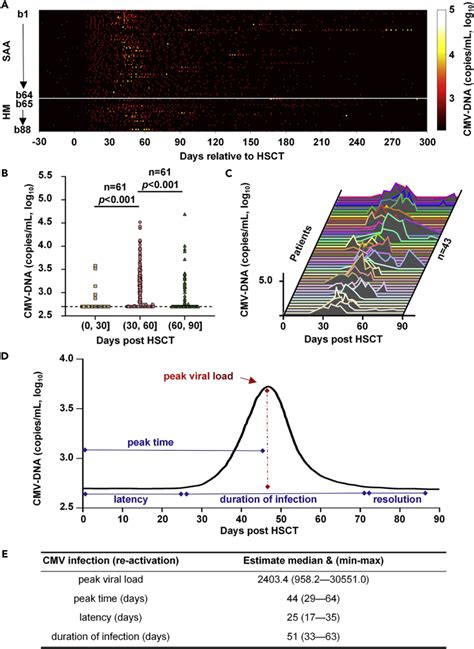 The Establishment Of A Cytomegalovirus Specific Cd8 T Cell Threshold