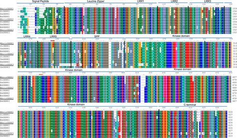 Multiple Sequence Alignment Of The Predicted Amino Acid Sequence Of