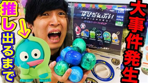 サンリオ推し出るまでガチャ回したら色々と地獄だった件ガシャポンはぴだんぶいサンリオ YouTube