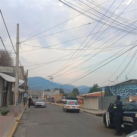 Gato hallado en Cereso 3 de Ciudad Juárez fue tatuado sin anestesia y