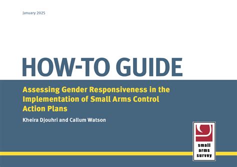 Assessing Gender Responsiveness In The Implementation Of Small Arms