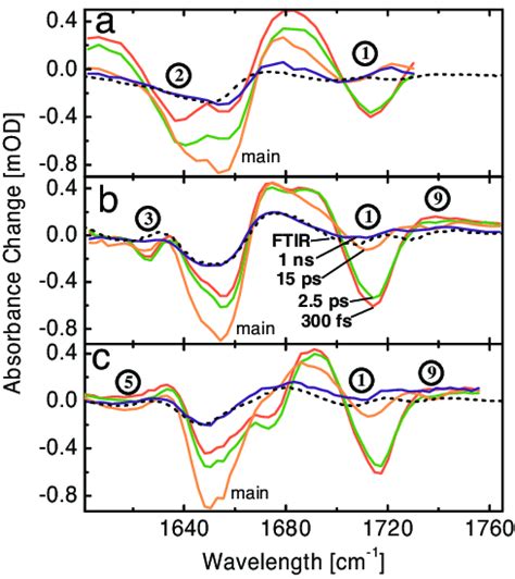 Transient Spectra Pump Probe Signals Of Paz Ala Aib7 Ome A
