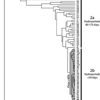 Dendrogram From R Mode Cluster Analysis Using Upgma And Pearson