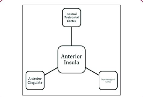 Schematization Of A Resting State Network During The Absence Of Download Scientific Diagram