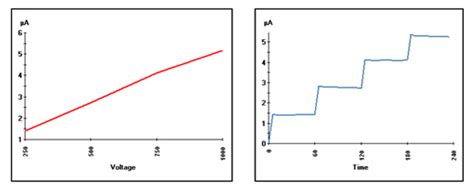 Insulation Test Series Step Voltage Testing The Snell Group