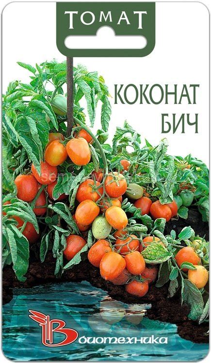 Купить семена томатов в Минске