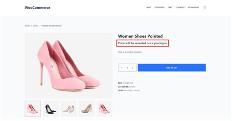 Ways To Hide Product Prices Until Login In WooCommerce WholesaleX