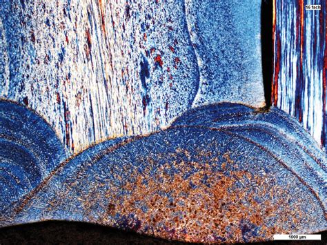 Metallography With Color And Contrast Learn And Share Leica Microsystems