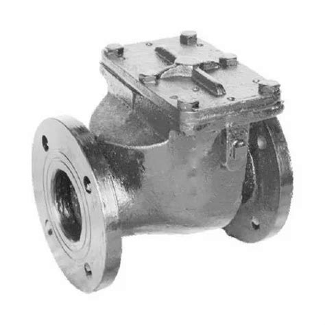 Cast Iron Non Return Valve At Piece CI Non Return Valve In Ghaziabad ID