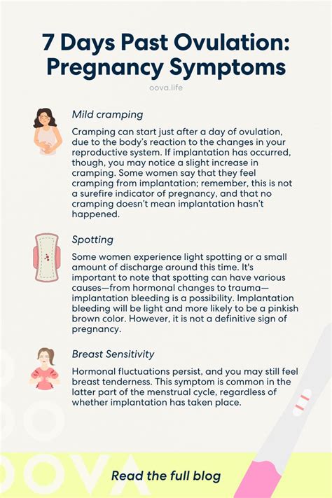 7 Dpo Symptoms Fertility And Whether You Should Take A Pregnancy Test Pregnancy Test