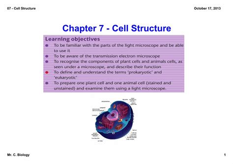 PDF Chapter Cell Structure Cell Structure Pdf Chapter Cell Structure All Living Things
