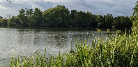 Run ActiveDirectory PowerShell Commands Against Another Domain