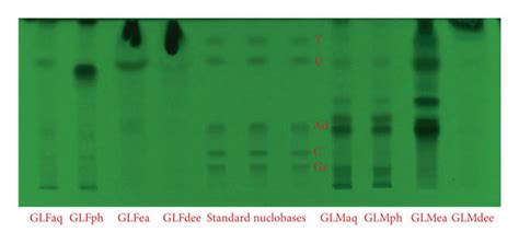 Hptlc Chromatogram A 3d Spectra B And Quantities C Of