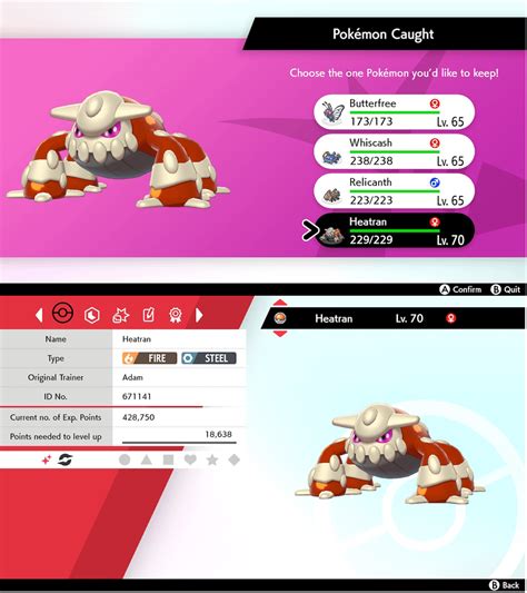 8 Shiny Spider In A Sport Ball When Will We See Sport And Safari