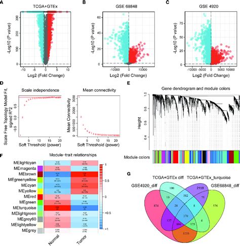 Identification Of Degs In The Collected Datasets A C Volcano