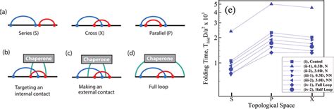 A Contact Topology Of A Linear Polymer Chain With Two Intra Molecular Download Scientific