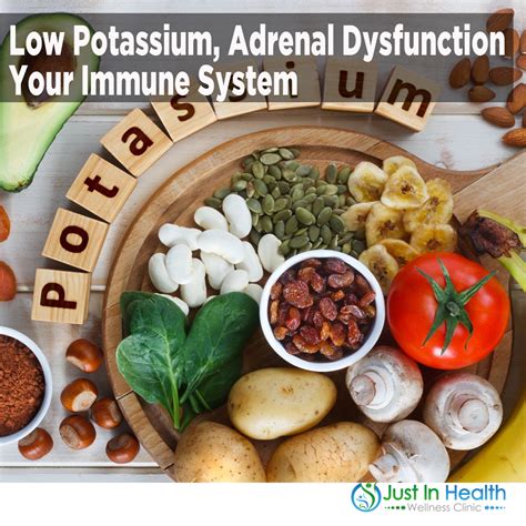Low Potassium Adrenal Dysfunction Your Immune System Podcast 288