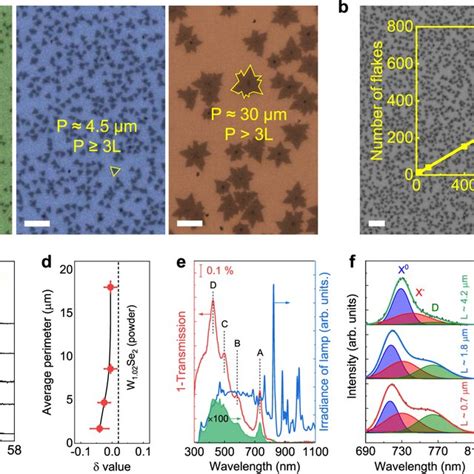 Microstructure Of Basal Planes And Edges Of Ml Wse2 Flakes A