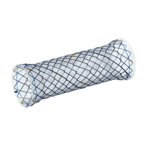 Self Expandable Metallic Stents Hanarostent® Nts Duomed
