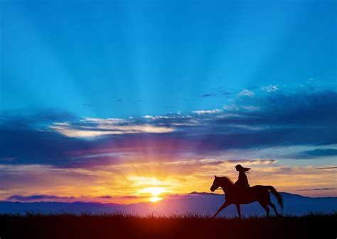 Giri Japans Code Of Loyalty Honor And Reciprocity The Wabi Sabi Journal The Wabi Sabi Shop