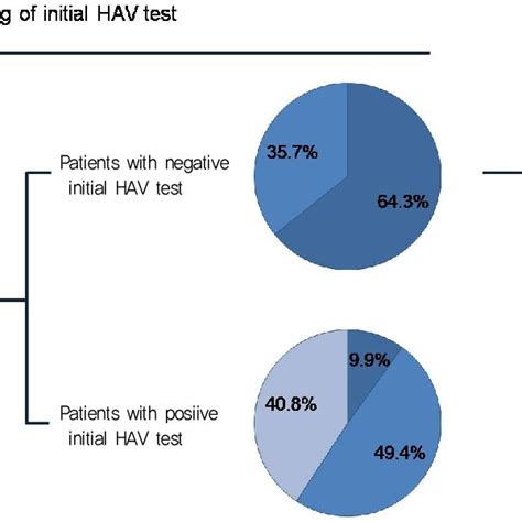Timing Of The Initial Hav Test At The Time Of The Initial Hav Test