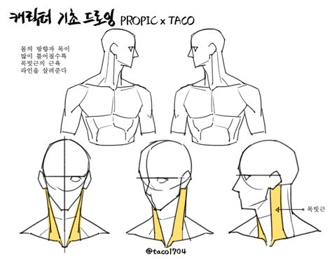 타코작가 On Twitter Human Anatomy Drawing Body Reference Drawing Sketch Book